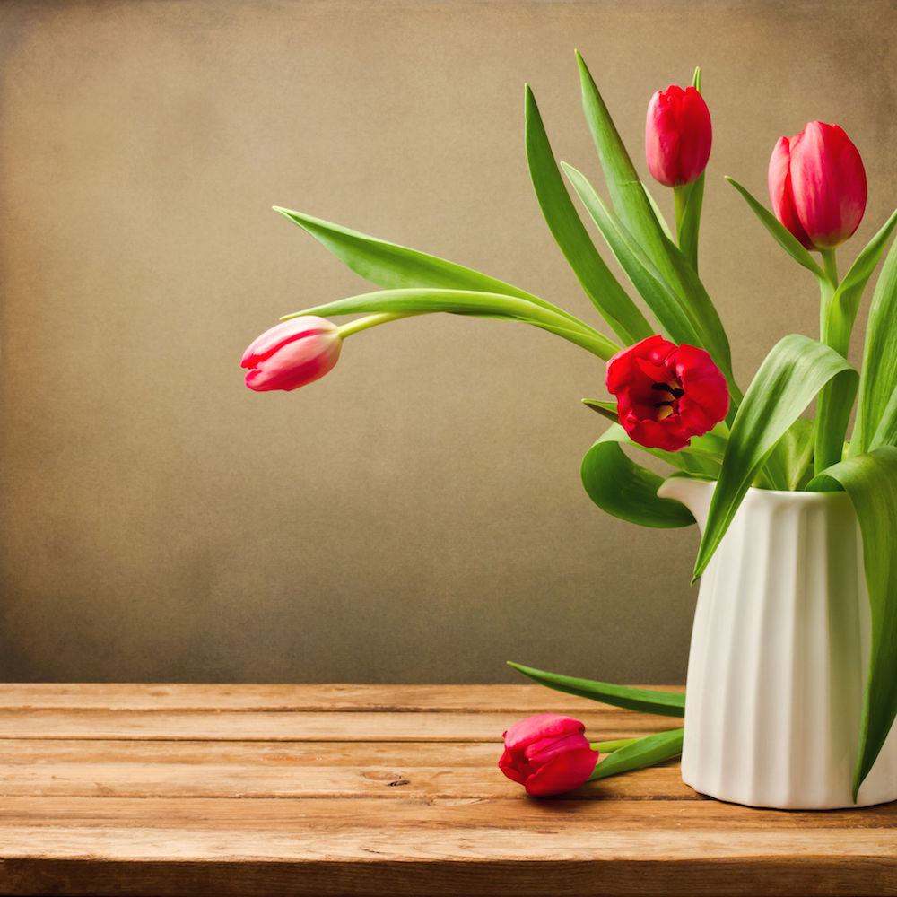 What to do for the February blahs - Hoosier Gardener