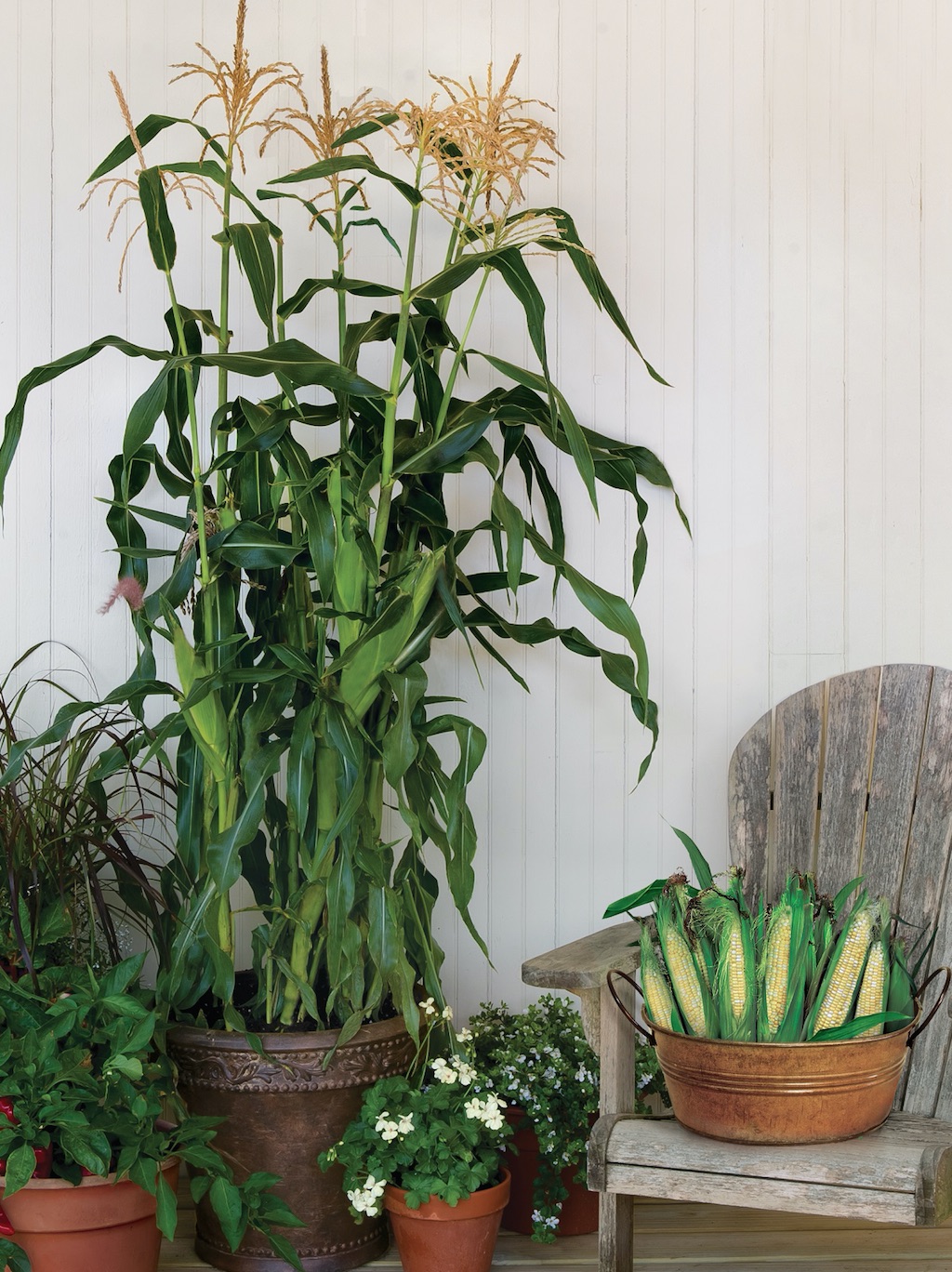 New edibles to try - Hoosier Gardener