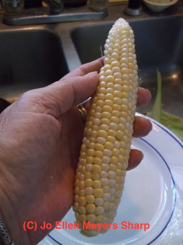 Seeds reward us and fail us, but we don't know until we try - Hoosier ...